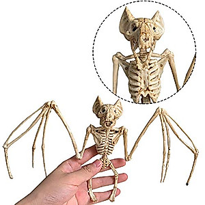 Halloween Animal Skeleton Decration Horrible Bat Skeleton Simulation Bat Model Vivid Bat Bone Yard Decorations w Hangable Feet and Movable Jaws