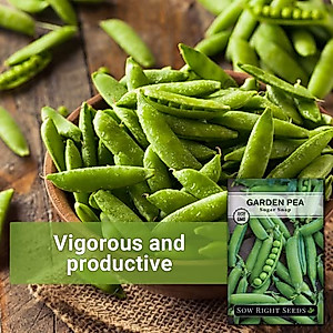 Sow Right Seeds - Sugar Snap Pea Seed for Planting - Non-GMO Heirloom Packet with Instructions to Plant a Home Vegetable Garden