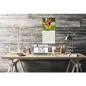 2024 2025 German Shepherd Calendar - Dog Breed Monthly Wall Calendar - 12 x 24 Open - Thick No-Bleed Paper - Giftable - Academic Teacher's Planner Calendar Organizing & Planning - Made in USA