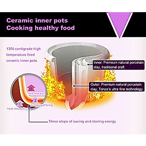 Tianji DDZ-16BWS Smart Twin Ceramic Pot Electric Stewpot with Steam tray,1.6L/300W