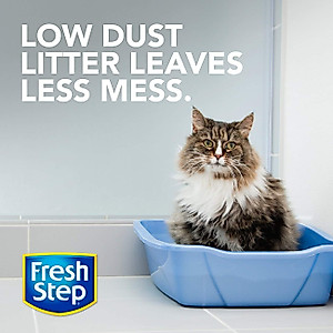 Fresh Step Extreme Mountain Spring Scented Clumping Cat Litter with The Power of Febreze, 42 lbs.