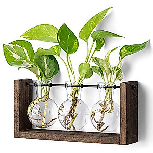 Mkono Plant Terrarium with Wooden Stand, Wall Hanging Glass Planter Tabletop Propagation Bulb Vase Metal Swivel Holder Retro Rack with 3 Bud Bottle for Hydroponics Plants Home Office Decor