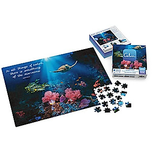 300-Piece Calm Jigsaw Puzzle for Relaxation, Stress Relief, and Mood Elevation, for Adults and Kids Ages 8 and up, Calm Coral