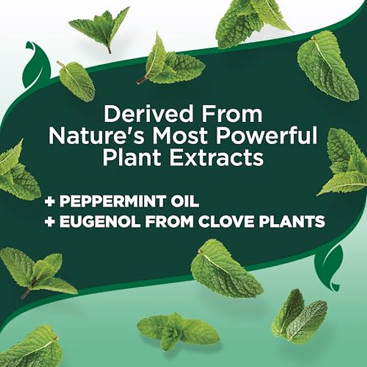 Vet's Best Flea and Tick Home Spray | Flea Treatment for Dogs and Home | Flea Killer with Certified Natural Oils | 96 Ounces Refill