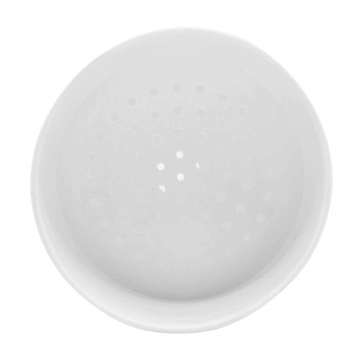 EISCO Buchner Funnel, 7.5cm - Polypropylene, 2 Parts - Designed for 5-6cm Filter Paper - Stem Length, 6cm - Lightweight, Autoclavable