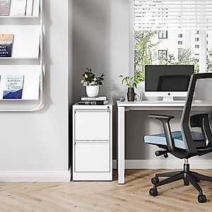 BIZOEIRON 2 Drawer File Cabinet and 2 Drawer File Cabinet with Lock, White