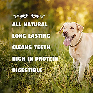 Downtown Pet Supply Dog Bones - Cow Hooves for Dogs Made in USA - Dog Dental Treats & Rawhide Free Dog Chews - Dog Chew Bones - Grass Fed Beef Hooves Stuffed with BBQ - 5 Pack