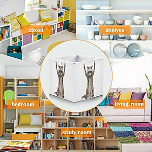 Kigai Raccoon Say Yeah Cube Storage Bins - 11x11x11 In Large Foldable Storage Basket Fabric Storage Baskes Organizer for Toys, Books, Shelves, Closet, Home Decor
