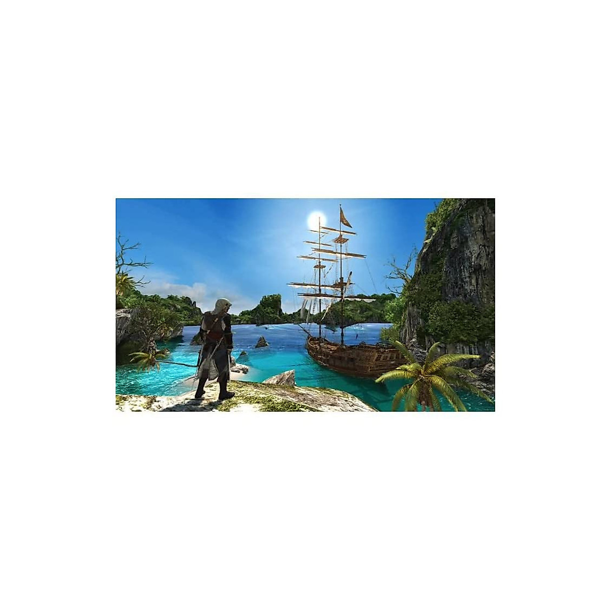 Assassin's Creed Black Flag + Rogue - Switch