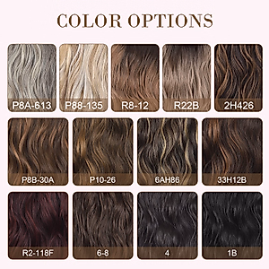 REECHO Hair Extensions, 4PCS Clip in Hair Extensions HE001 Natural Soft Synthetic Hairpieces for Women, Dark Brown with Blonde Highlights