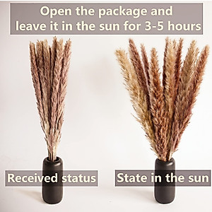 100 PCS Small Boho Pampas Grass, 17" Naturally Dried Pompas, Pampas Grass Decor for Wedding , Boho Party Decorations, Table Decor（Brown and White）