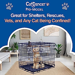CAT DANCER Products Pro-Model Cat Toy with Cage Clip, Interactive Cat Toy for Cat Confined in Carrier