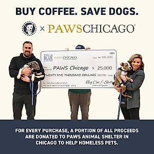 STELLA BLUE Fresh Cold Brew Coffee | Big Cat Blend | 100% Arabica MEDIUM Roast | Enriching Caramel & Hazelnut Notes & Sweet Fruitiness | Cold Brew for True Fanatics | 6 Packets to Make 24 Cups