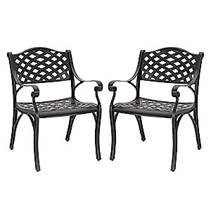 Nuu Garden Patio Dining Chairs Set of 2, Aluminum Outdoor Indoor Patio Chairs with Arms for Garden, Backyard, Porch, Black with Gold Points