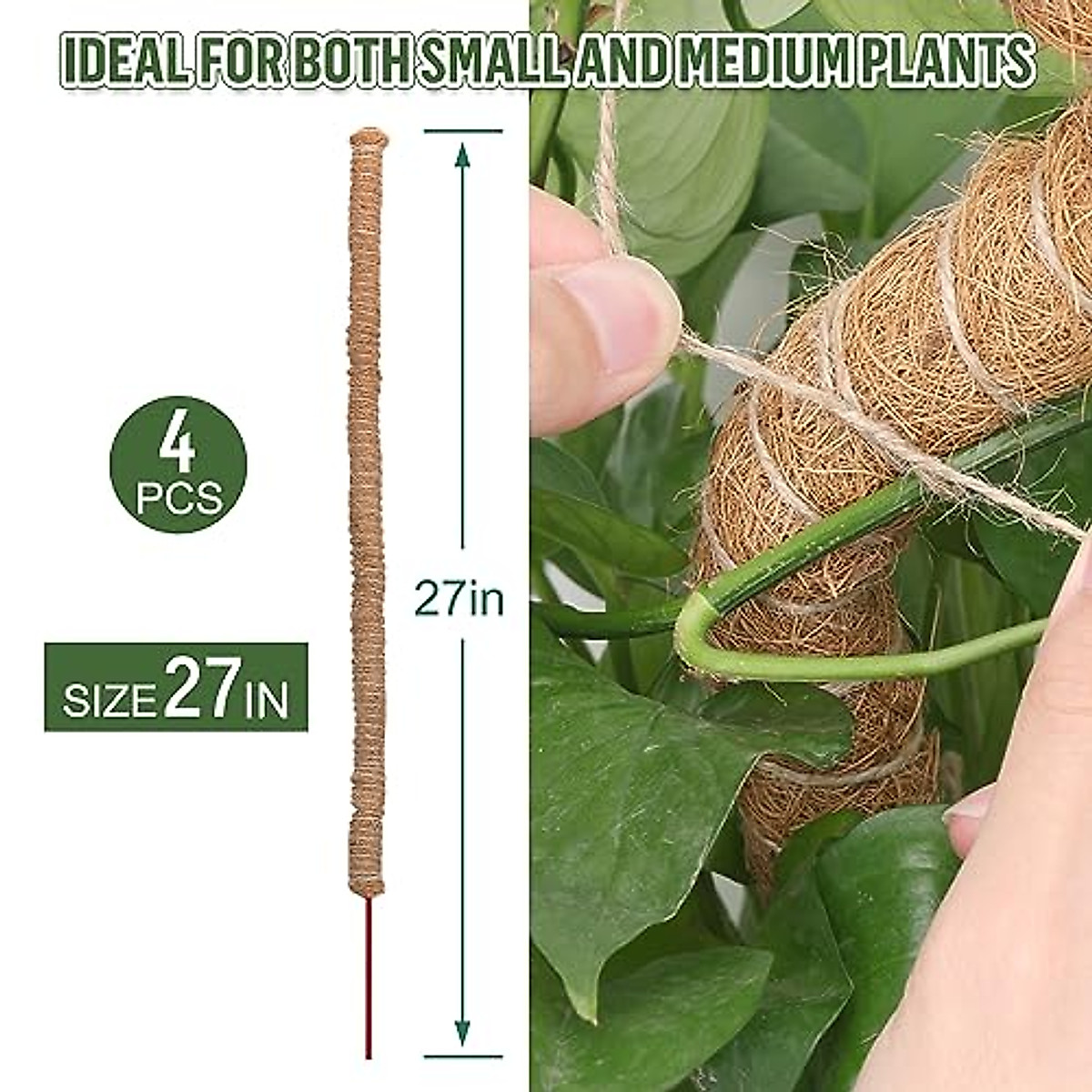 Whonline Moss Pole, 4 PCS 27 Inches Plant Sticks Support, Plant Stakes for Indoor Plants, Monstera, Pothos