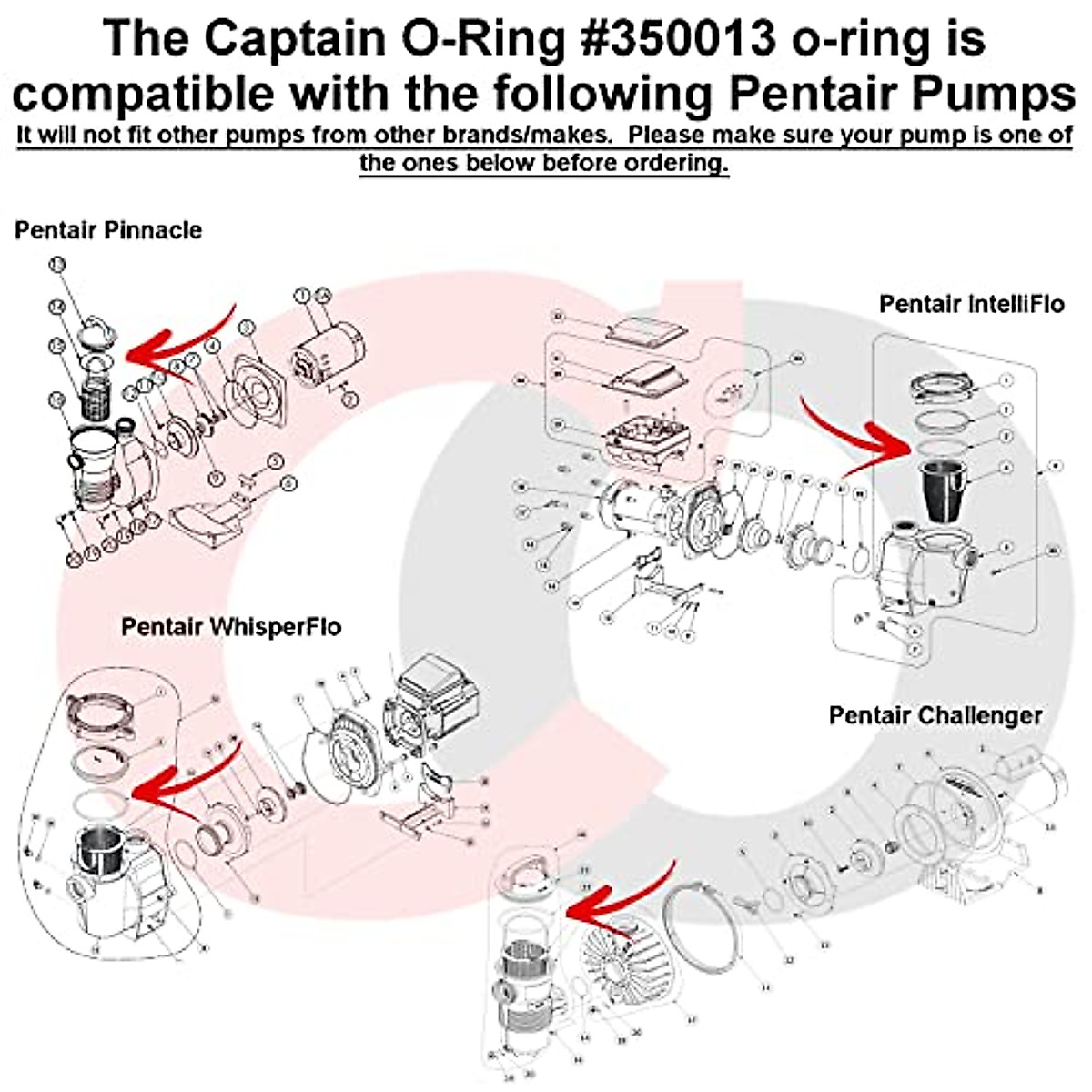 Captain O-Ring - 350013 Lid O-Ring - Compatible with Pentair IntelliFlo, WhisperFlo, Challenger and Pinnacle Pool and Spa Pumps