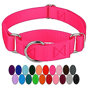 Country Brook Petz - Hot Pink Martingale Heavy Duty Nylon Dog Collar - 21 Vibrant Color Options (1 Inch Width, Medium)