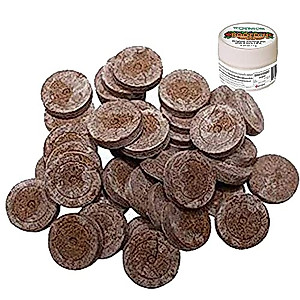 Jiffy 7 Peat Pellets 36 MM Seed Starting Plugs, Seeds Starter. Start Plant Seedlings Early (Pack of 50)