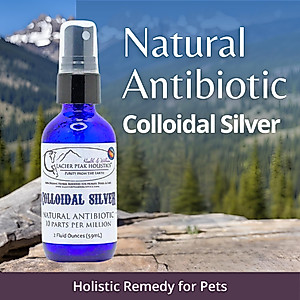 Glacier Peak Holistics Colloidal Silver - Natural Antibiotic Spray for Dogs & Cats, Internal & External for Anti-Itch and Infection in Pets - 2oz