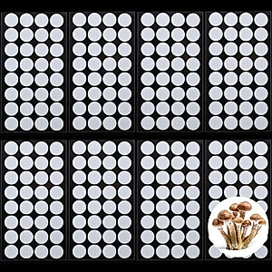 Synthetic Filter Paper Stickers 20 mm 0.3 μm Filter Disc Mushroom Applied Under Wide Mouth Jar Lid for Mushroom Cultivation (256)