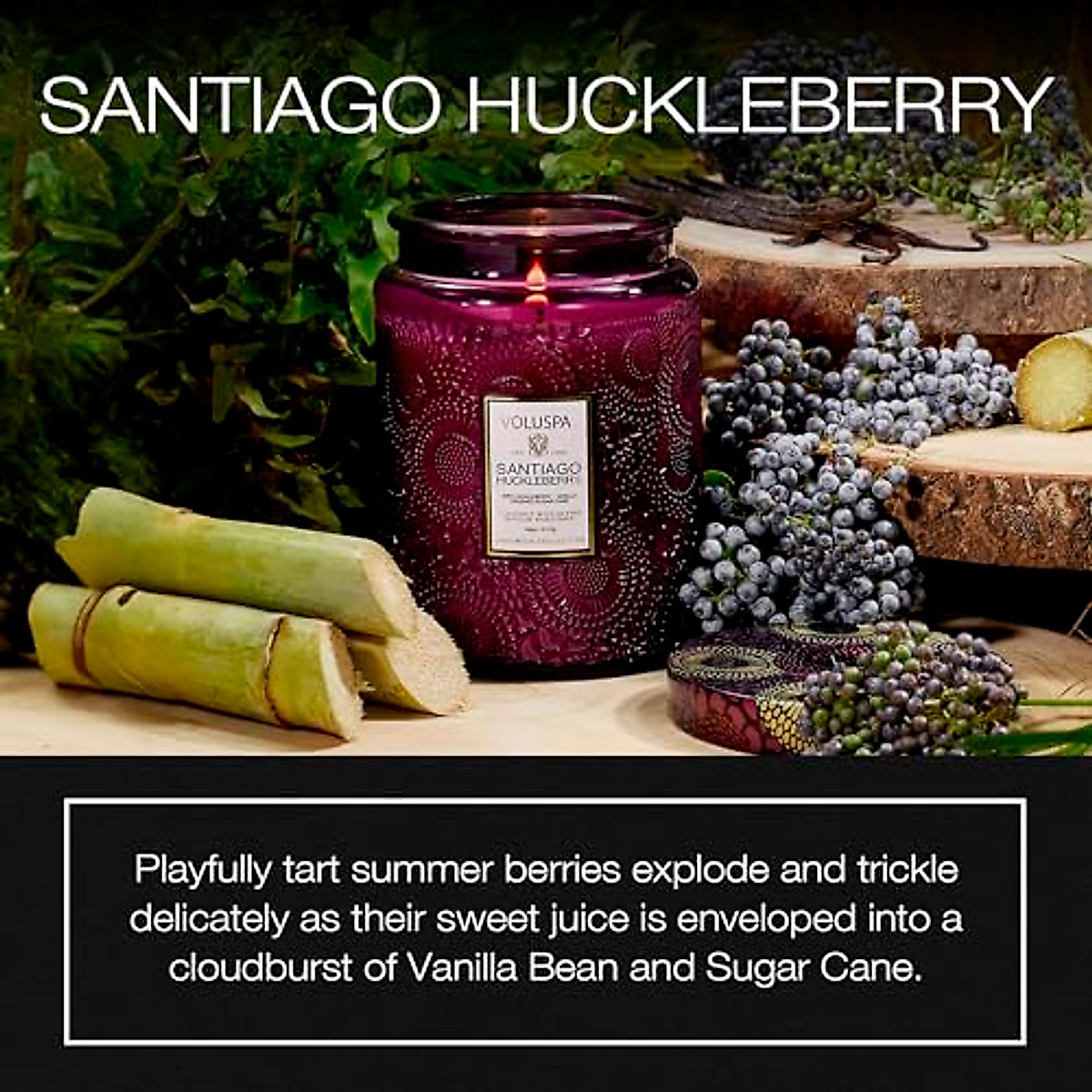 Voluspa Santiago Huckleberry, Large Candle Jar, 18 oz, 100 Hour Burn Time, All Natural Wicks and Coconut Wax for Clean Burning, Vegan, Poured in the USA