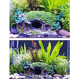 DUGUWEI Aquarium Decoration Small Animal Hideout House Fish Tank Ornament Reptile & Insect Shelter Cage Size Large (11''x7''x6'')