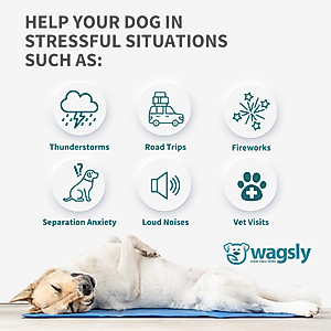 Wagsly Chill: Calming Chews for Dogs | Thiamine, Tryptophan, Lemon Balm, Green Tea Extract – 100 Count for Balanced Mood & Relaxation | Natural Calming Treats for Dogs