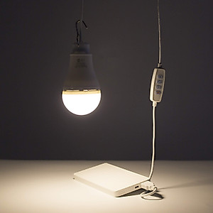 Tento Lighting USB Bulb USB-Powered LED Light Three Color Change, 40 Watts Replacement Portable Hanging Bulbs Camping Fishing Beach Tent Dormitory Energy Saving Led Lightbulb