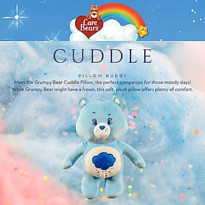 Franco Collectibles Care Bears Grumpy Bear Bedding Super Soft Plush Decorative Throw Pillow, (Officially Licensed Product)