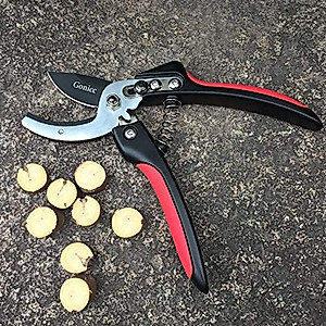 Gonicc 8" Professional SK-5 Steel Blade Anvil Pruning Shears(GPPS-1010) and 7.3" Bonsai Scissors(GPPS-1012), Cushion and shock absorber design, Ergonomically Design Handle.