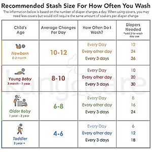 Kanga Care Rumparooz Cloth Diaper Reusable One Size Pocket Diaper with Patented Inner Double Gusset Adjustable 4 Sizes in 1 Diaper + 2 pcs Microfiber Insert Soaker (6-40+ lbs) - Clyde