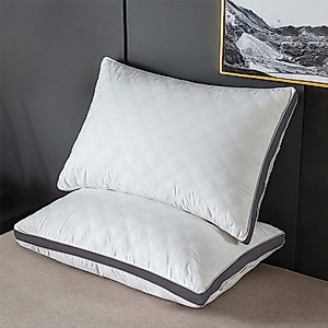 XCJC Sleep Bed Pillows 2 Pack: Comfort Luxury Standard Hotel Soft Pillows with Adjustable Fluffy Microfiber Filling Stuffing Washable Pillowcase for Back Stomach Side Sleepers - Size 20 x 26 Inches