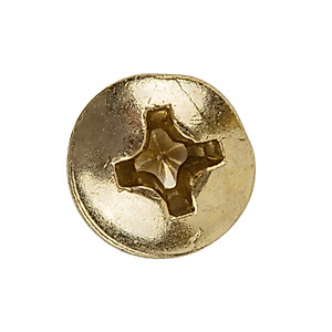 #5 x 1/2" Brass Pan Head Philips Drive Wood Screws | Pack of 25 | Self Tapping Screws for Wood Antique or Modern Furniture | SCR-C1060-RP5012BPPK