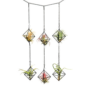 libproqia Small Air Plants Holders Black Hanging Airplants Hangers Iron Wire Airferns Display Frame Geometric Tillandsia Air Planter with Chains for Wall Mounted Himmeli Decor 6pcs(No Plants)