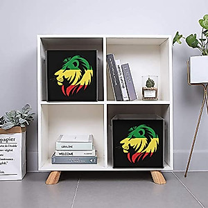 Rasta Lion Collapsible Storage Bins Basics Folding Fabric Storage Cubes Organizer Boxes with Handles