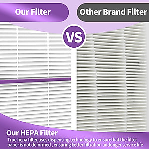 DerBlue 4pcs True Filter Replacement Compatible with Holmes AER1 Filter Total Air Filter Replacement HAPF300AP-U4