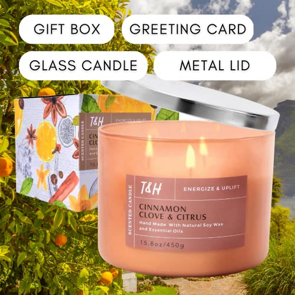 Cinnamon Clove Citrus Scented Candle with Vanilla, Ginger & Cedarwood | Highly Scented 3 Wick Soy Candles for Home 15.8 oz | Large Relaxing Aromatherapy Candle for Men & Women, Natural Cinnamon Candle