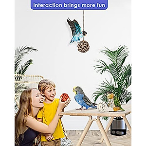 Bissap 6PCS Small Parrot Chew Toys, Sola Balls Parrot Chewing Foraging Toys Colorful Bird Foot Balls for Cockatiels Conures Cockatoos Parakeets Love Birds Small Parrot Cage Bite Toys