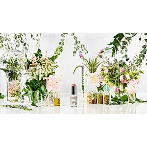 Physicians Formula Organic Wear All Natural Dewy Highlighter Stick Makeup, Stick Cream To Powder, Dew Frost, Dermatologist Tested