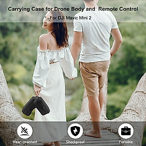 iEago RC Drone Case + Controler Compact Case for DJI Mini 4K/Mini 2 SE/Mini 2, Portable Small Case Storage Bag for DJI Mini 4K Accessories