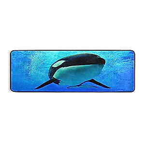 ALAZA Whale Swimming Under Water Collection Area Mat Rug Rugs for Living Room Bedroom Kitchen 2' x 6'