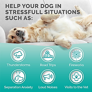 PREMIUM CARE Hemp Calming Chews for Dogs, Made in USA - Helps with Dog Anxiety, Separation, Barking, Stress Relief, Thunderstorms and More, 9.3 oz (264g), 120 Count