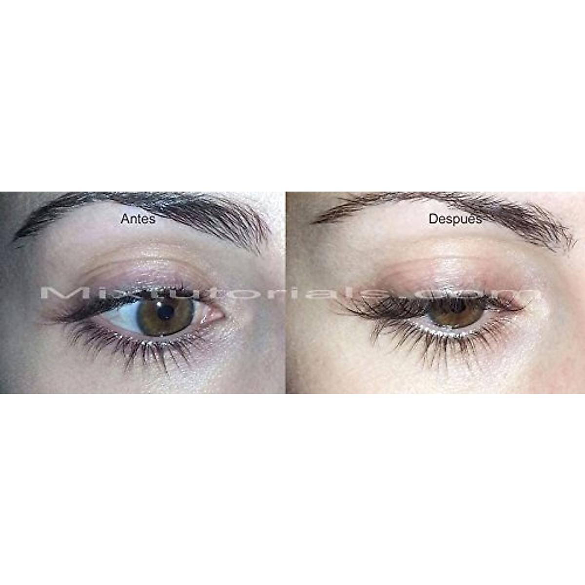 PROSA 4 en uno aceite para crecer y alargar pestanas-oil treatment to grow and lengthen eylashes