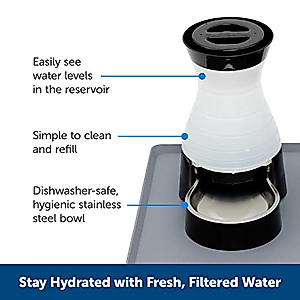 PetSafe Healthy Pet Water Station - Small, 64 oz Capacity - Gravity Cat & Dog Waterer - Removable Stainless Steel Bowl Resists Corrosion & Stands Up to Frequent Use - Easy to Fill - Filter Compatible