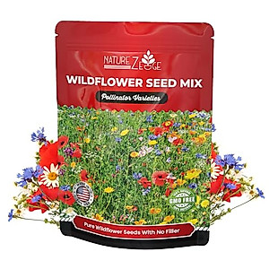 340,000 Wildflower Seeds, 1/2 lb, 35 Varieties of Flower Seeds, Mix of Annual and Perennial Seeds for Planting, Attract Butterflies and Hummingbirds, Non-GMO