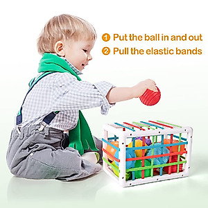 Montessori Sensory Toys for 1 Year Old Boy and Girl, Baby Shape Sorting Bin Gifts for 12 Months, Early Learning Educational Toddler Bath Toys for Toddlers