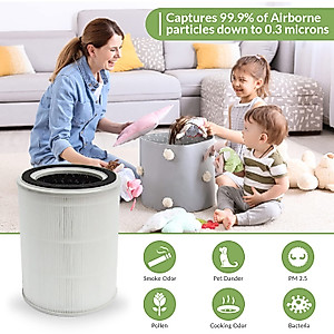 Homeland Goods Replacement Filter Toppin TPAP001 Air Purifier, 4-in-1 Pre-Filter, H13 True HEPA Filter, ap001 Allergen Absorber Air Filter 2 Pack