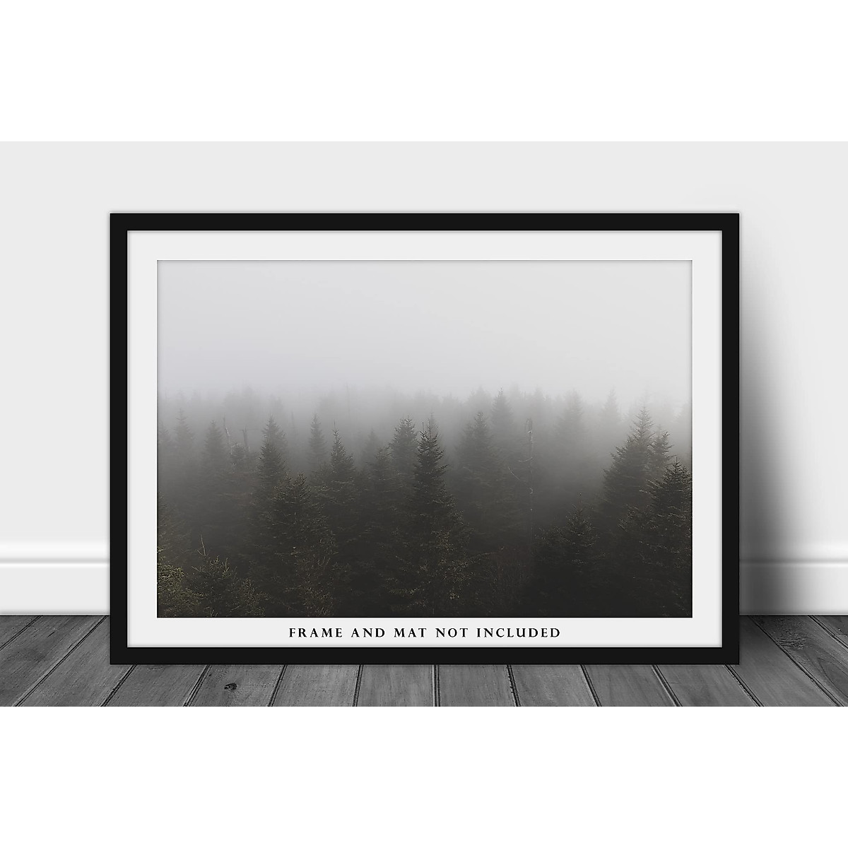 Forest Photography Print (Not Framed) Picture of Treetops Shrouded in Fog on Foggy Day at Clingmans Dome North Carolina Tennessee Ethereal Wall Art Great Smoky Mountains Decor (4" x 6")
