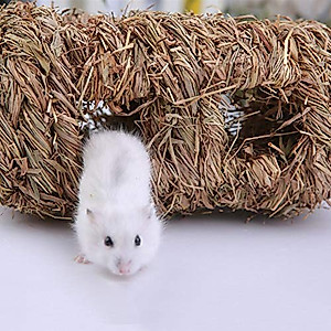 Small Animals Hideout House Grass Hideaway Tunnel Chew Toys Activity Center Nest Hut for Hamsters Guinea-Pig Gerbils Chinchillas (2 Pack Hideout Tunnel 7.5"×3.7")