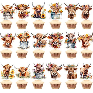 36Pcs Highland Cow Cupcake Toppers Highland Cow Birthday Decorations Highland Cow Party Supplies Highland Cow Cattle Cake Decorations for Farm Animal Birthday Party Baby Shower Supplies